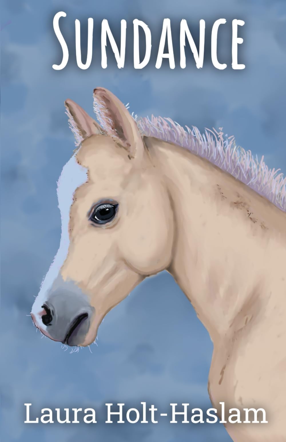 Sundance (Sofia's Story): Holt-Haslam, Laura: 9798377222989: Amazon.com ...