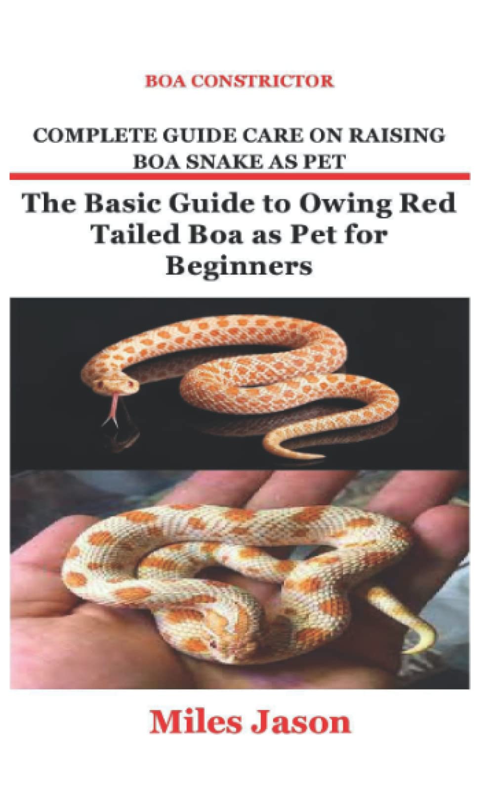 Buy BOA CONSTRICTOR COMPLETE GUIDE CARE ON RAISING BOA SNAKE AS PET The Basic Guide To Owing buy-boa-constrictor-complete-guide-care-on-raising-boa-snake-as-pet-the-basic-guide-to-owing