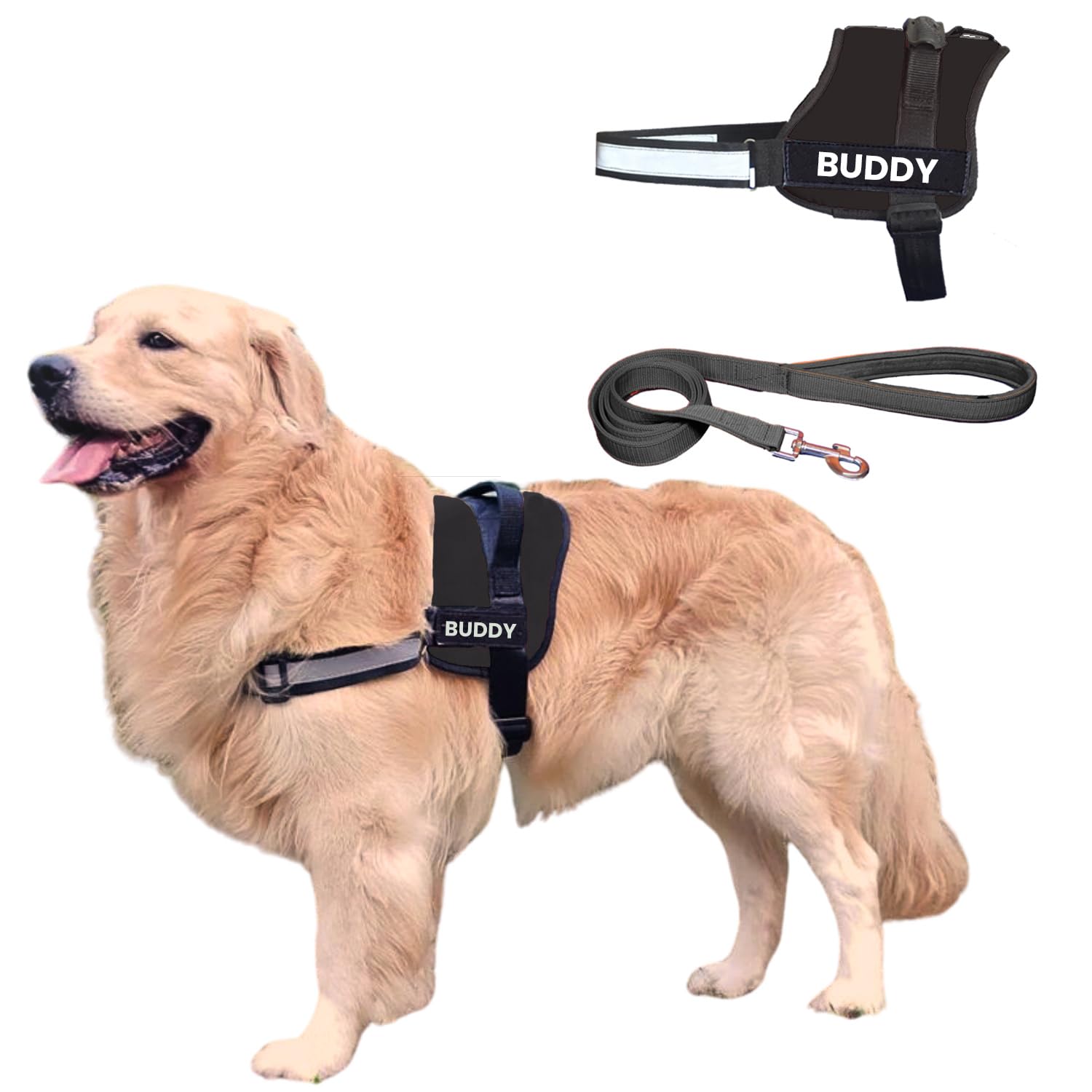 PAYTON PERRY Dog Vest Harness with Leash Combo Set for Small Breeds ...