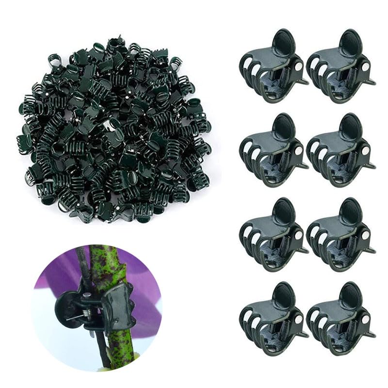 100 Pcs Orchid Clips Plant Support Clips, Plant Clips,Orchid Support ...