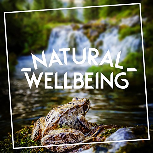Amazon.com: Natural Wellbeing : Zen Natural Meditation: Digital Music