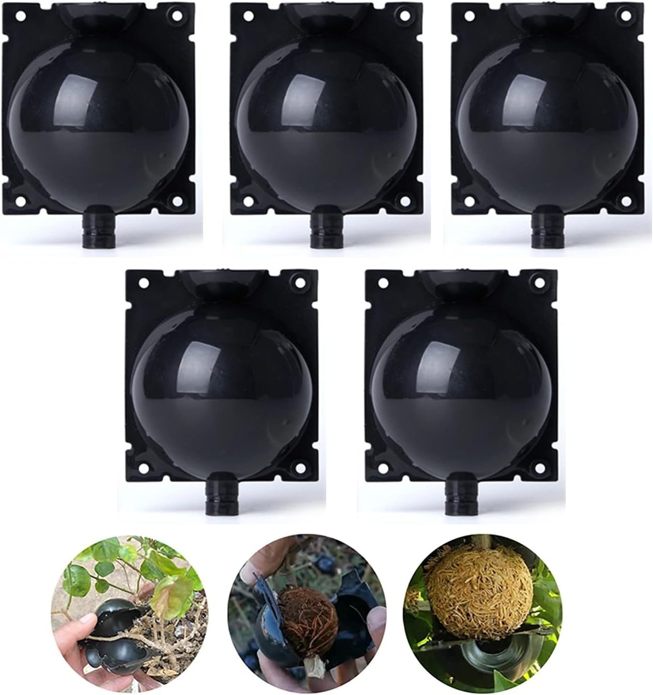 Plant Rooting Device Root Boxes 5 Pack Plastic Self-Locking Reusable ...