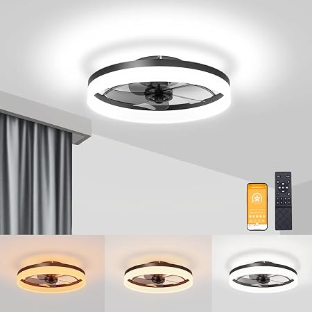 Amazon.com: VOLISUN Low Profile Ceiling Fan with Lights and Remote, 19 ...