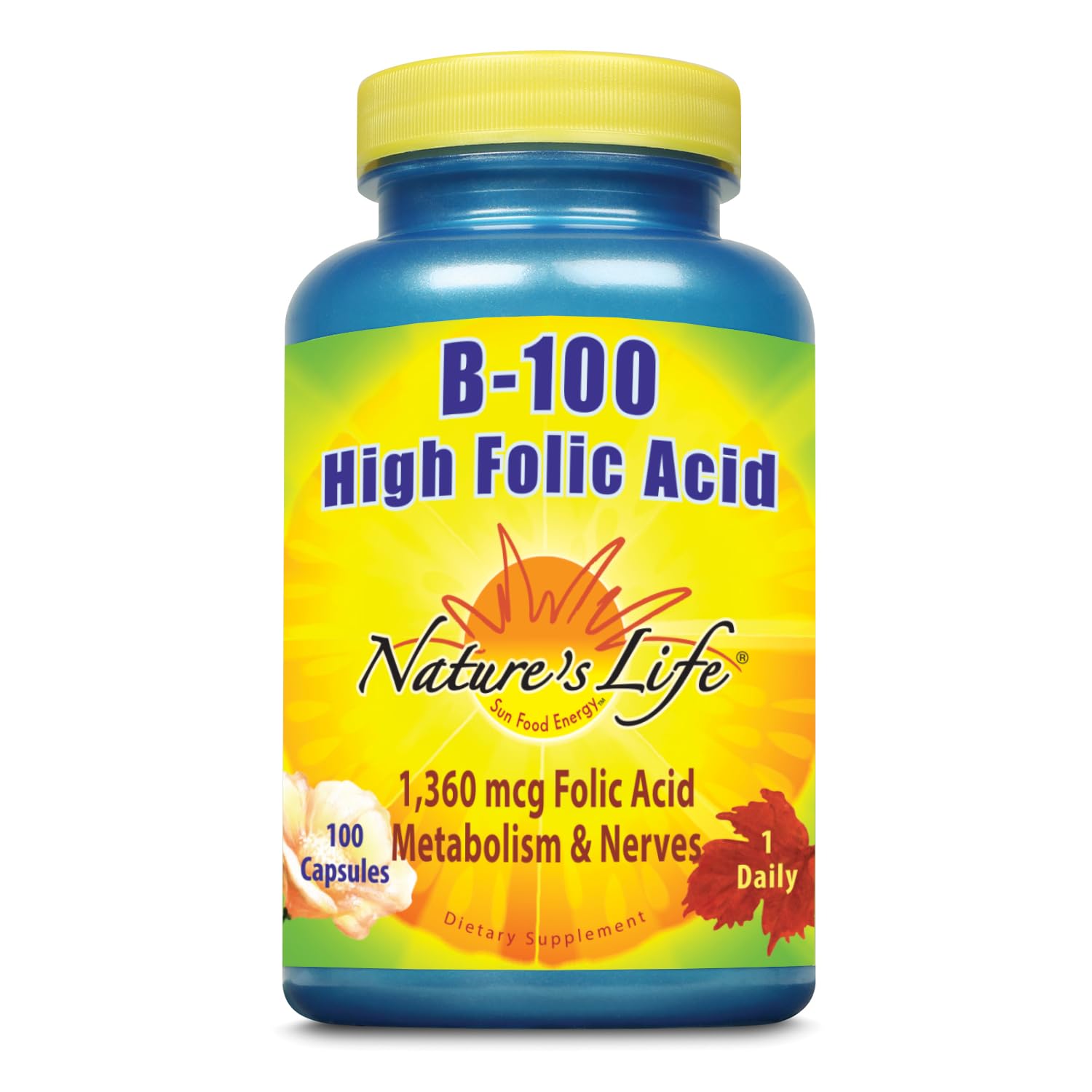 Amazon.com: Nature's Life B-100 High Folic Acid | 100 ct : Health ...