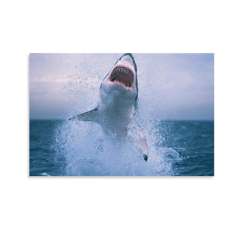 Great White Shark Jumping Out Of Water Drawing Art Drawn By A Great