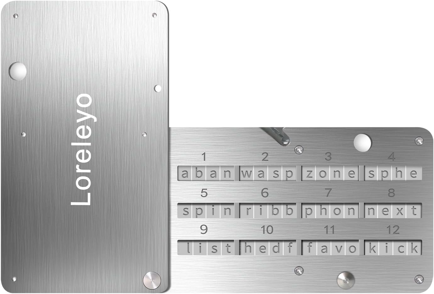 Amazon.com: Loreleyo Crypto Seed Storage, Crypto Steel Capsule Metal ...