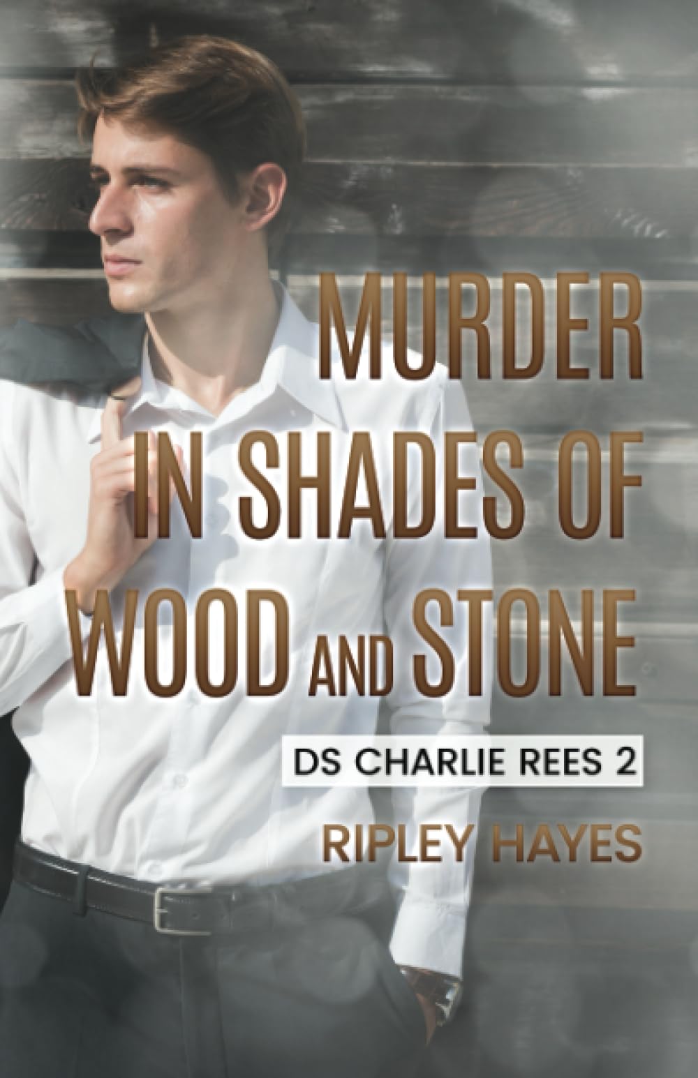 Murder in Shades of Wood and Stone: DS Charlie Rees 2: Hayes, Ripley ...