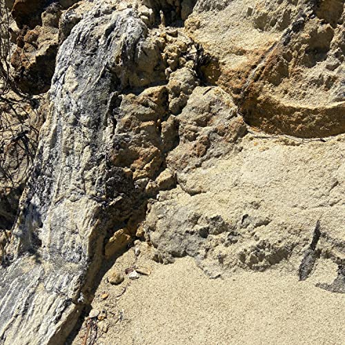 Écouter Made With You In Mind de Toronto Max sur Amazon Music Unlimited