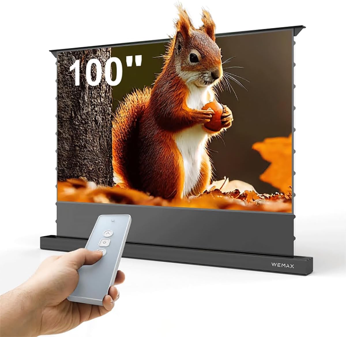 Amazon.com: WEMAX 100 inch Electric Motorized Floor Rising Projection ...