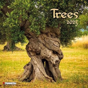 Trees 2025: Calendar 2025 (Mindful Edition): unknown author ...