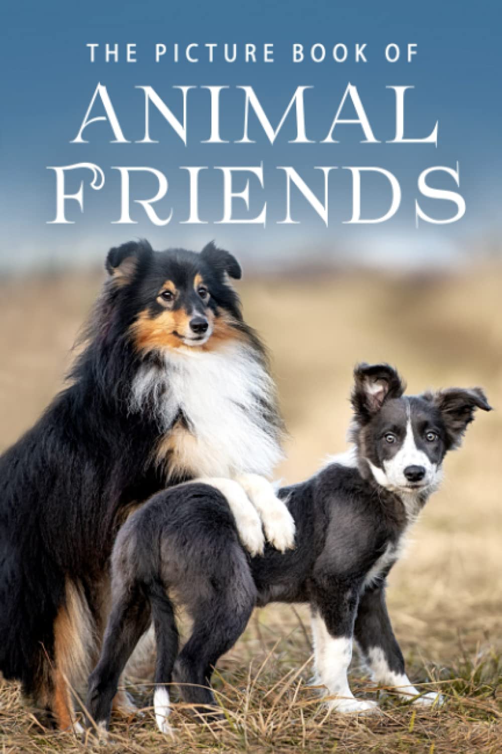 The Picture Book of Animal Friends: A Gift Book for Alzheimer's ...