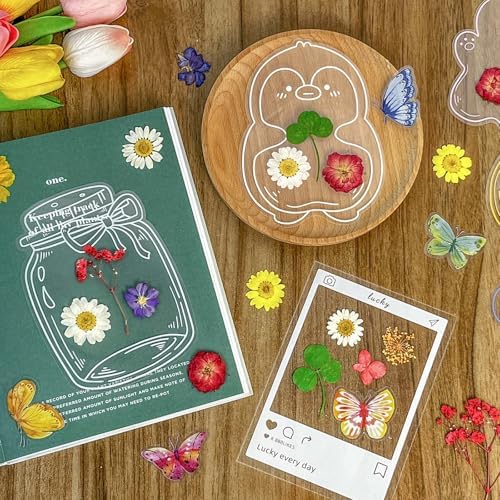 Amazon.com: Krinisou 40Pcs Transparent Dried Flower Bookmark Kit, Clear ...