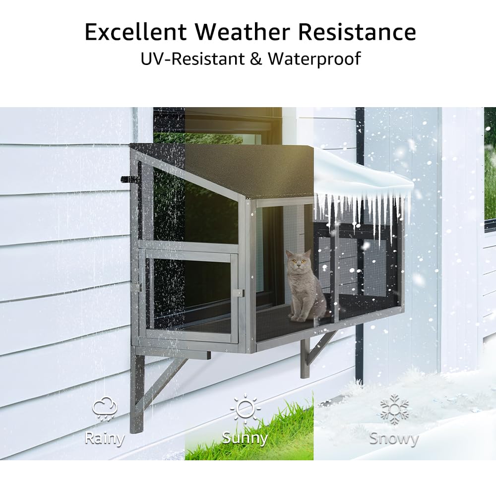 Screened Window Box For Cats
