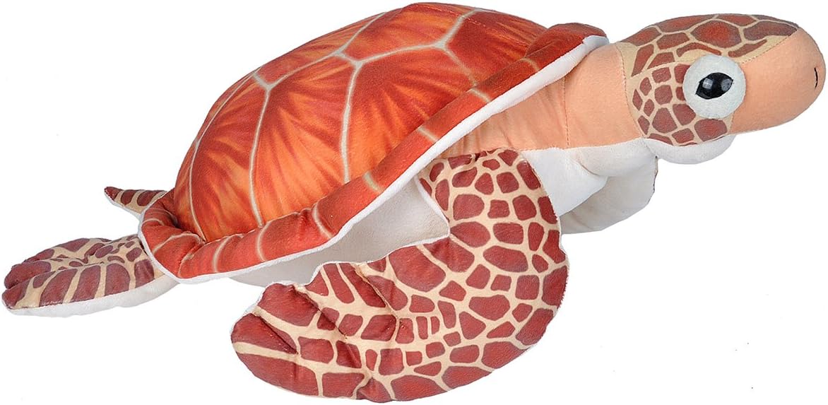 Amazon.com: Wild Republic Loggerhead Sea Turtle Plush, Stuffed Animal ...