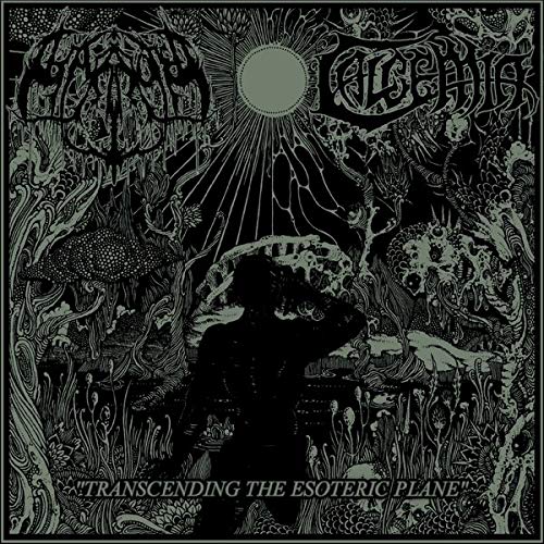 Transcending The Esoteric Plane - Calcemia: Amazon.de: Musik-CDs & Vinyl