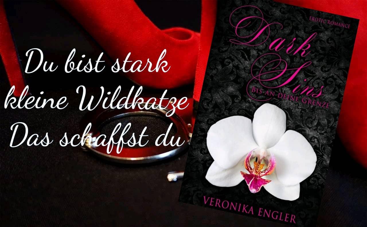 Dark Sins: Bis an deine Grenze (DS 1) eBook : Engler, Veronika: Amazon ...