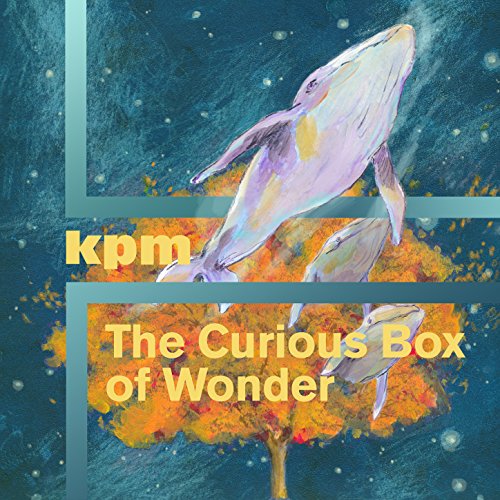 Amazon.com: The Curious Box of Wonder : Daniel Teper: Digital Music