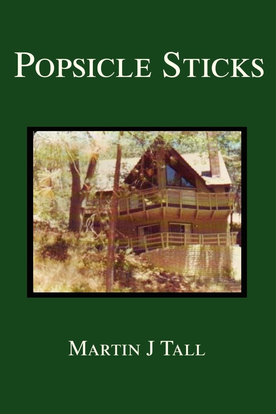 Amazon.com: Popsicle Sticks: 9780595225187: Tall, Martin: Books