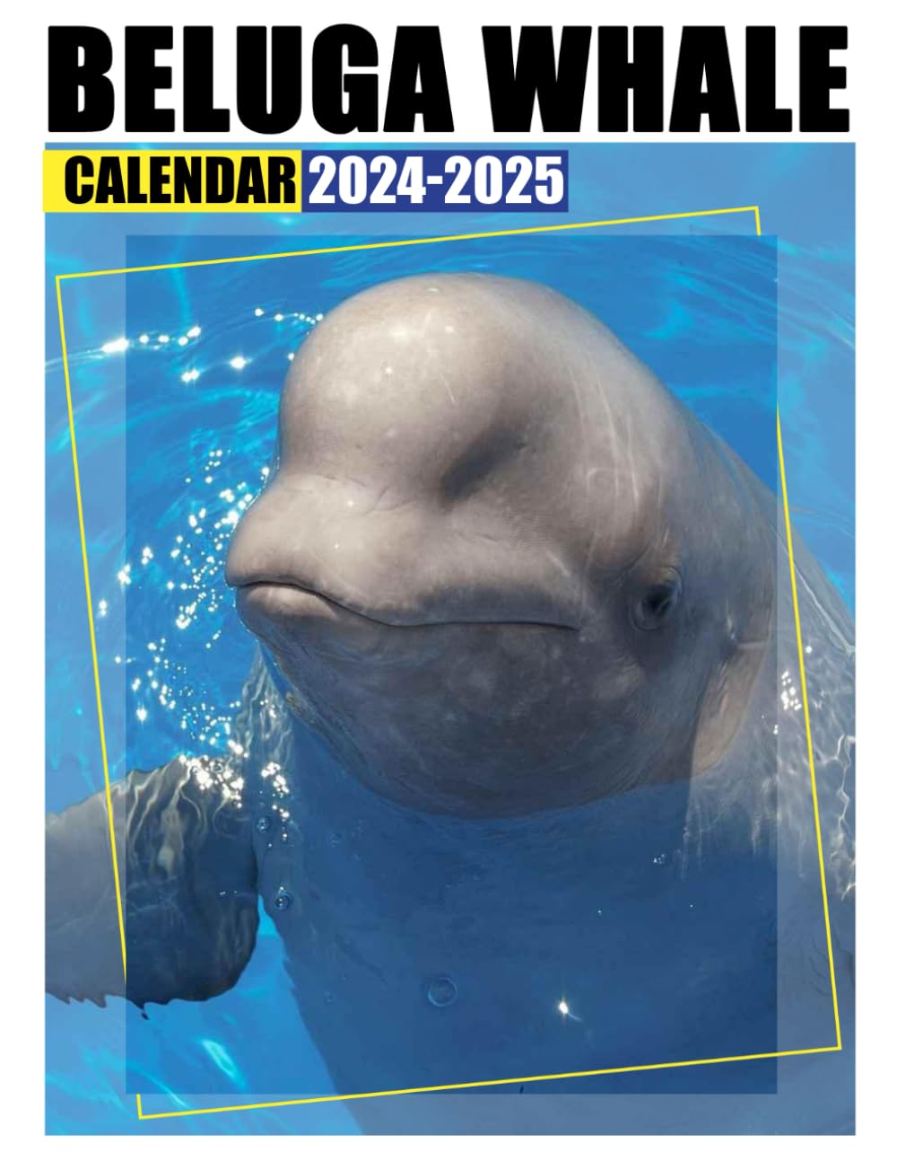 Amazon.com: Beluga Whale Calendar 2024 - 2025: Monthly Planner Jan 2024 to Dec 2025, Thick ...