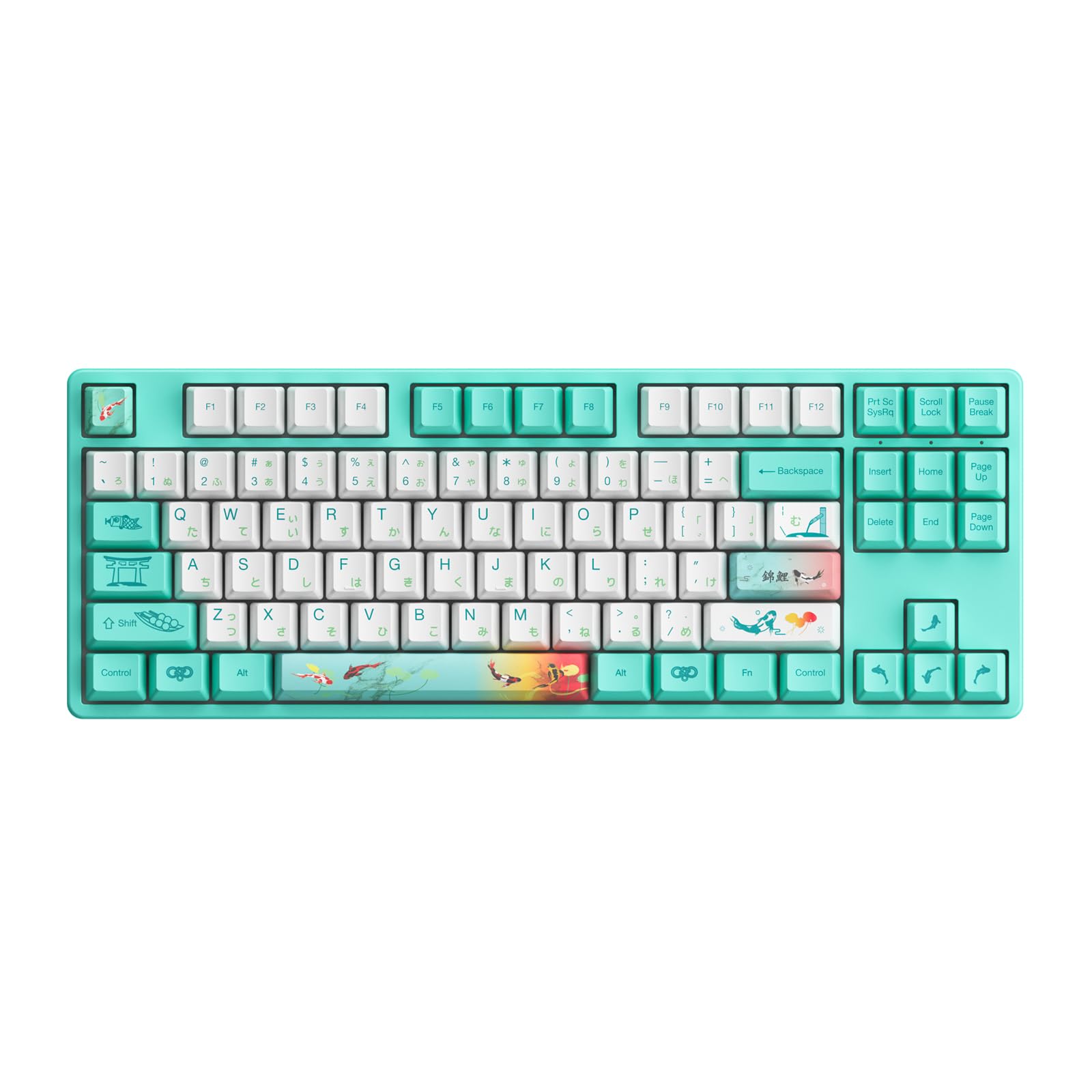 Amazon.com: Akko QMK TKL Wired Mechanical Gaming Keyboard with RGB ...
