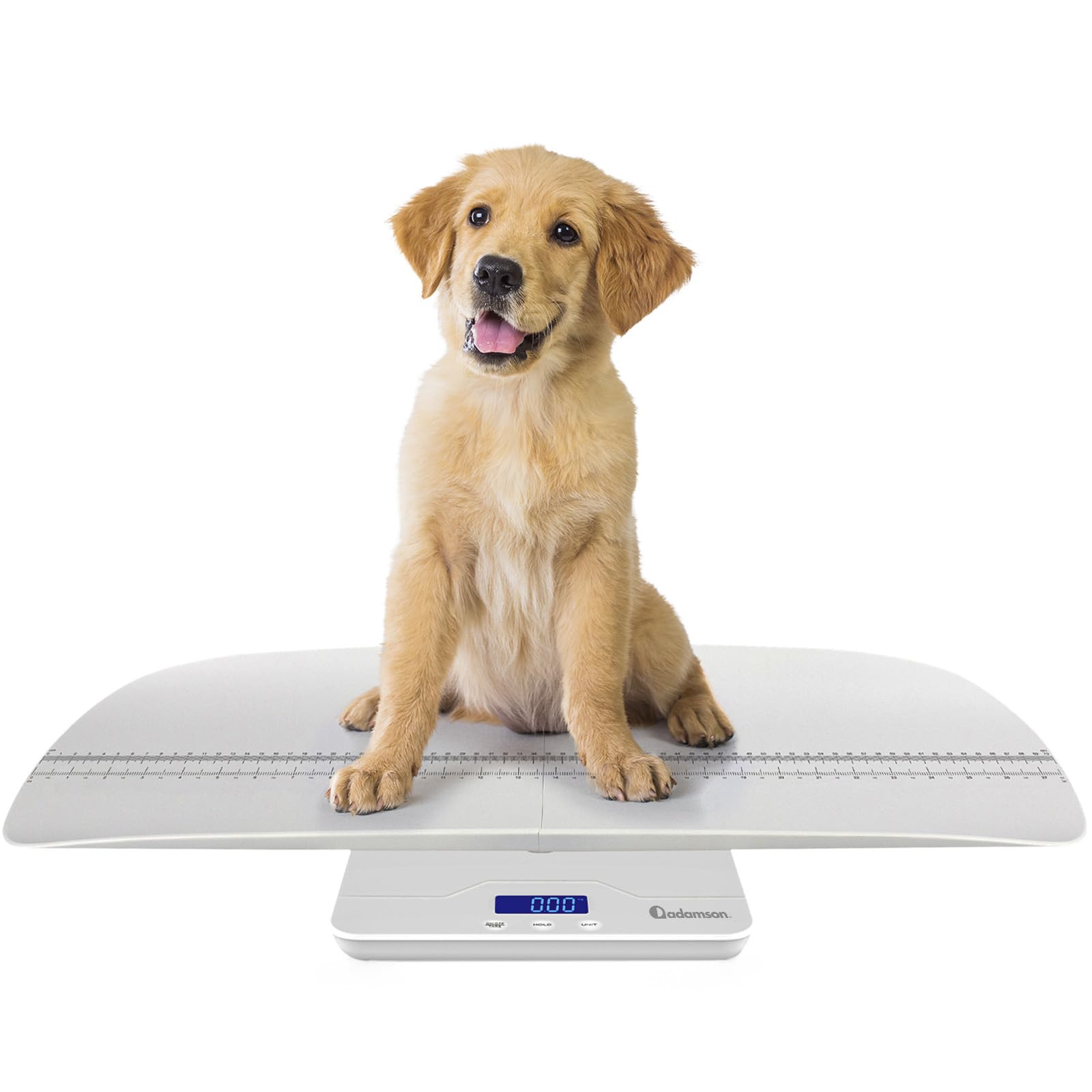 Snapklik.com : A50 Pet And Baby Scale - New 2024 - Digital Pet Scale ...