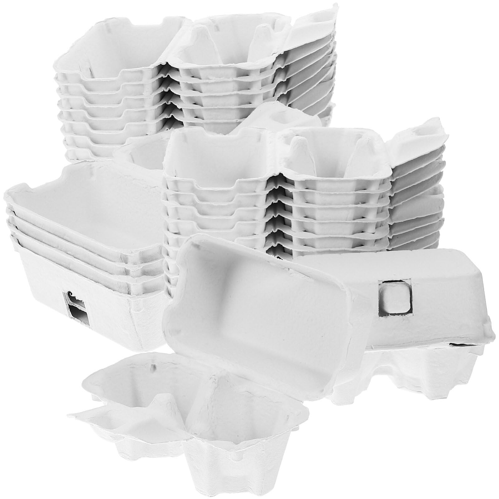 Amazon.com: Alipis Paper Pulp Egg Cartons Blank 2 Count Egg Cartons ...