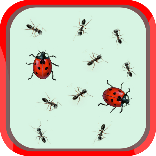 Ladybug - App on Amazon Appstore