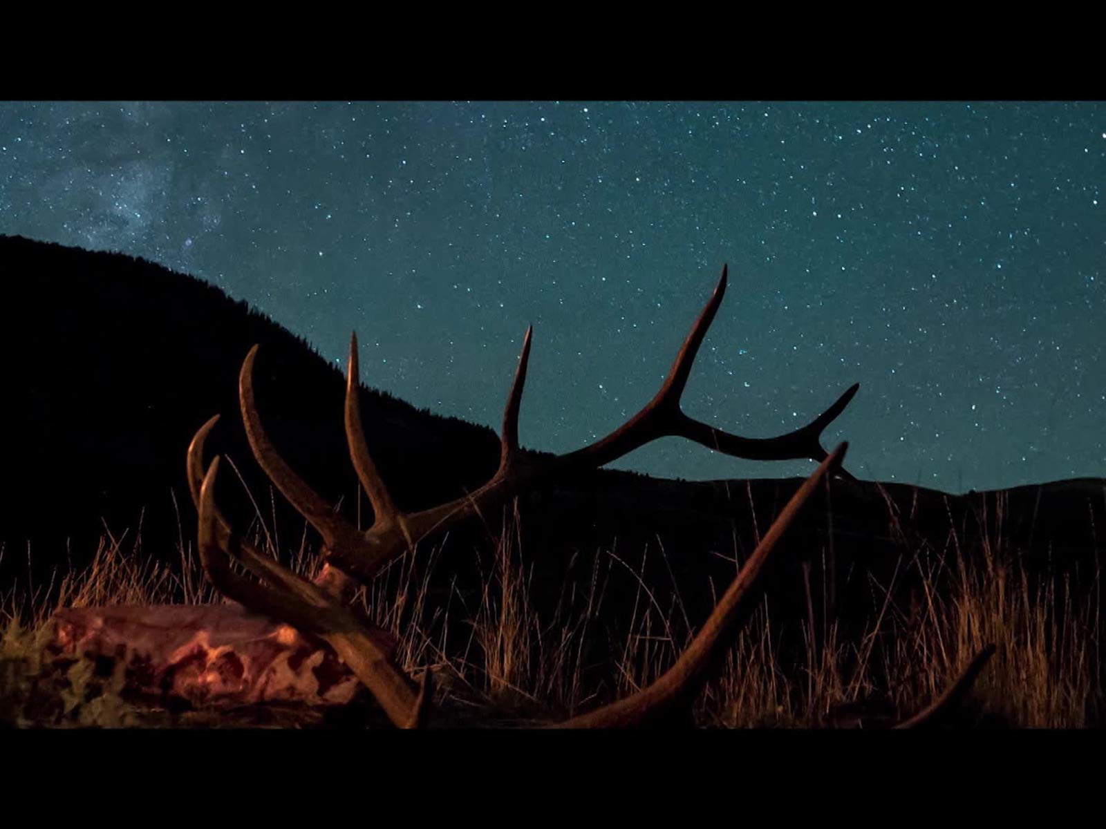 Watch The Western Hunter - Season 4 | Prime Video