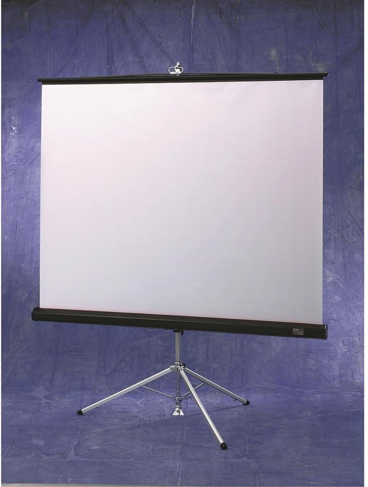 Amazon.com: Draper Inc Matte White Diplomat/R Portable Screen with ...