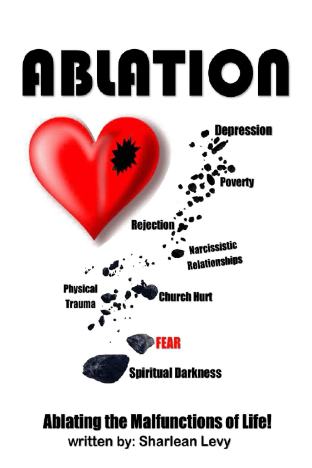 Ablation: Ablating the Malfunctions of Life!: Levy, Sharlean ...
