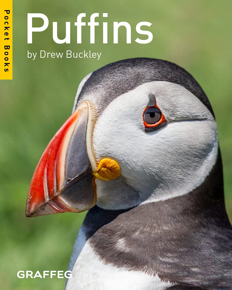 Buy Puffins Book Online at Low Prices in India | Puffins Reviews ...