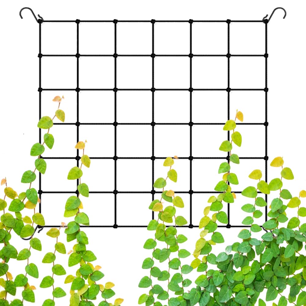 RANJIMA Wachsen Zelt Netz, Elastische Spalier Netz, 60 * 60cm Pflanzen ...
