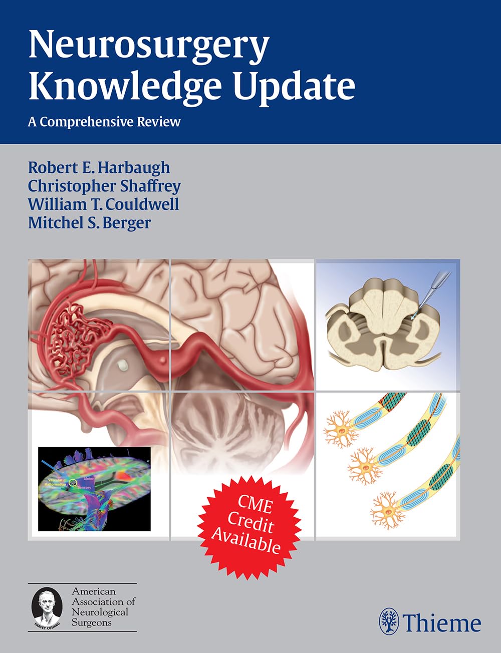 Neurosurgery Knowledge Update: A Comprehensive Review: 9781626230361 ...