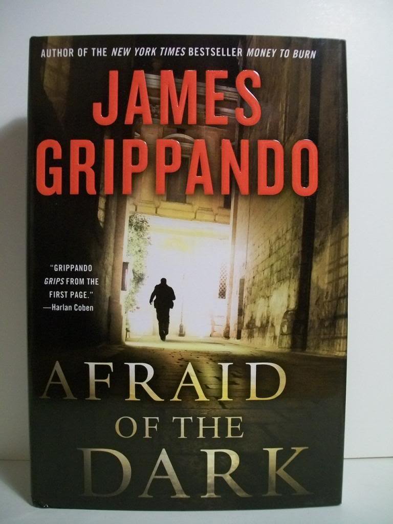 Afraid of the Dark (Jack Swyteck Novel): Grippando, James ...