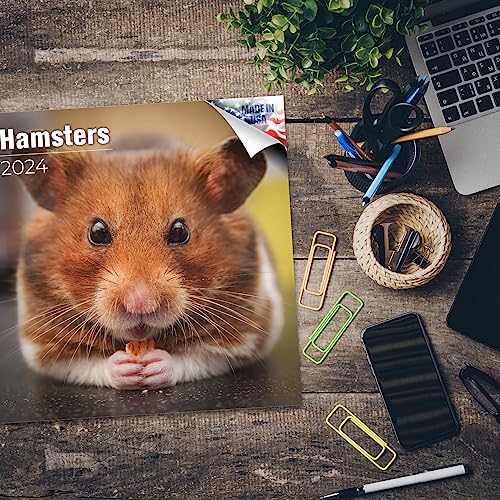 Snapklik.com : 2023 2024 Hamsters Calendar - Cute Animal Monthly Wall ...
