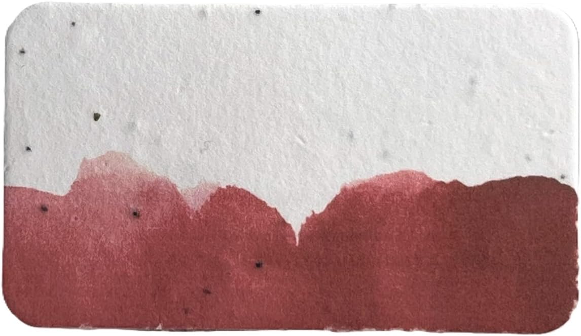 Amazon.com : Of The Earth Handmade Paper - Wildflower Seed Paper Escort ...