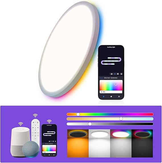 Wosen 1 Pack 12 Inch RGB LED Flush Mount Ceiling Light with Night Light ...