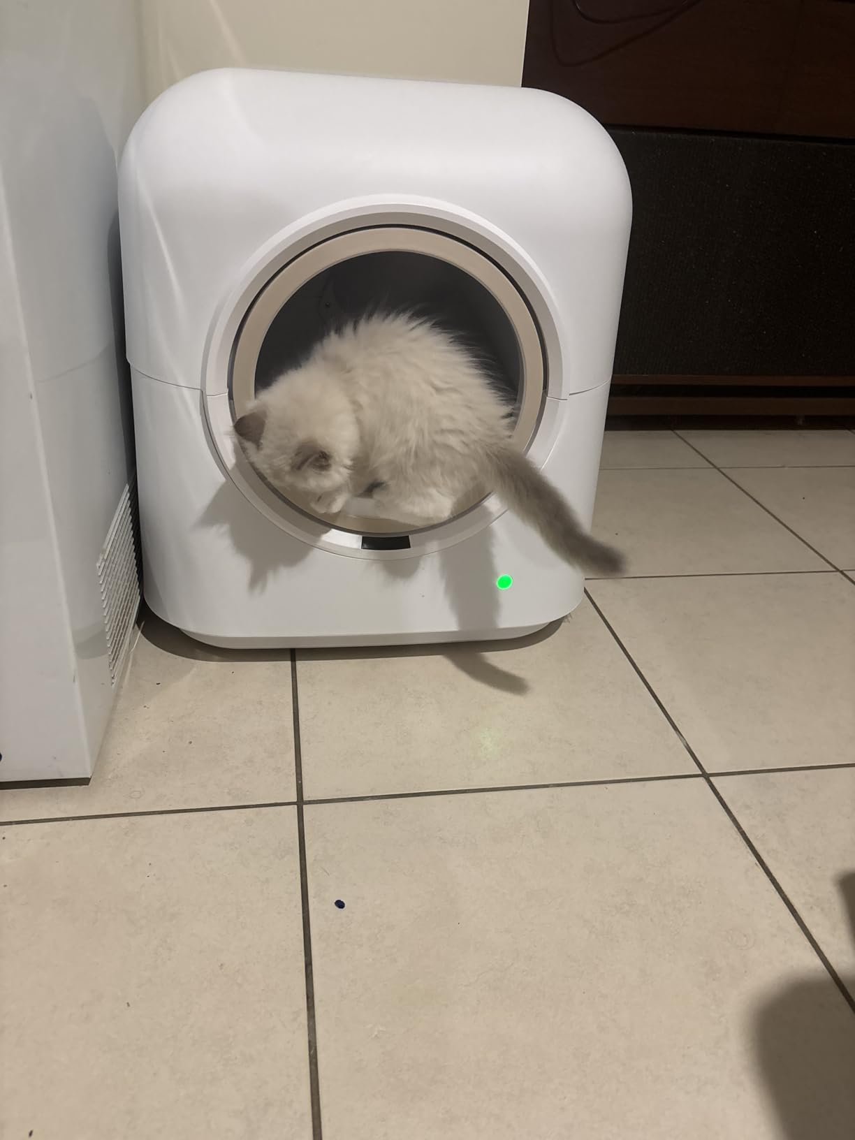 i.Pet Automatic Cat Litter Box, Self-Cleaning Kitty Smart Litters Boxes ...