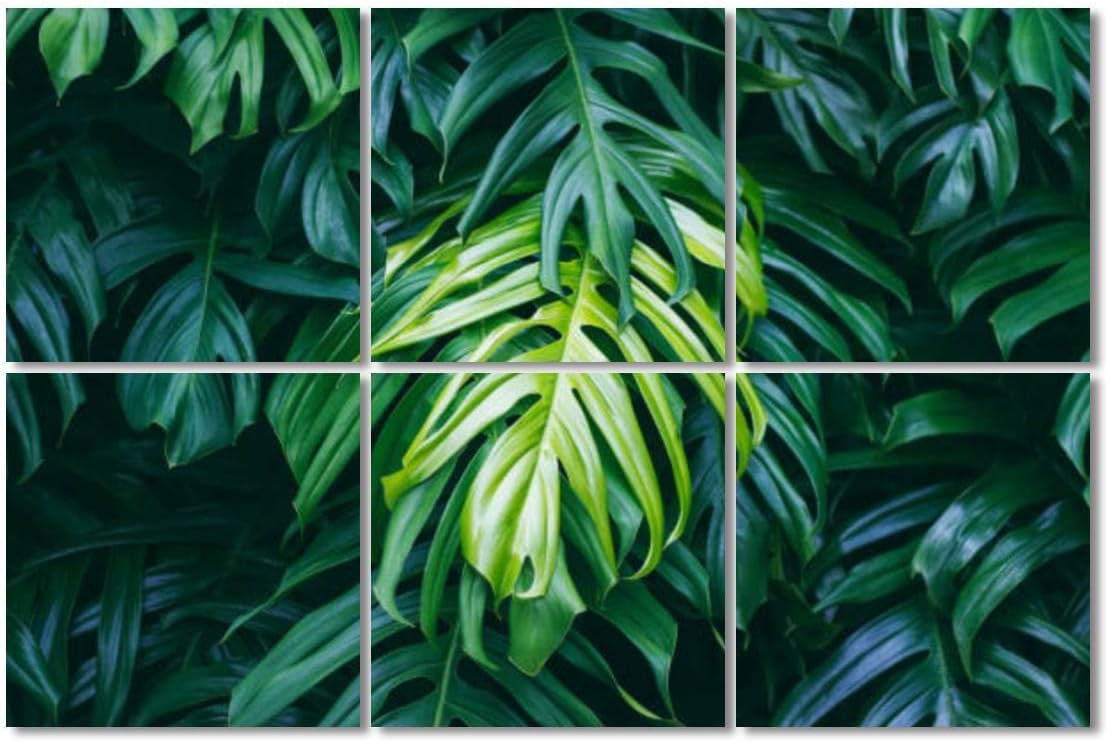 Amazon.com: 6 Pack Art Acoustic Panels Tropical green leaves dark ...