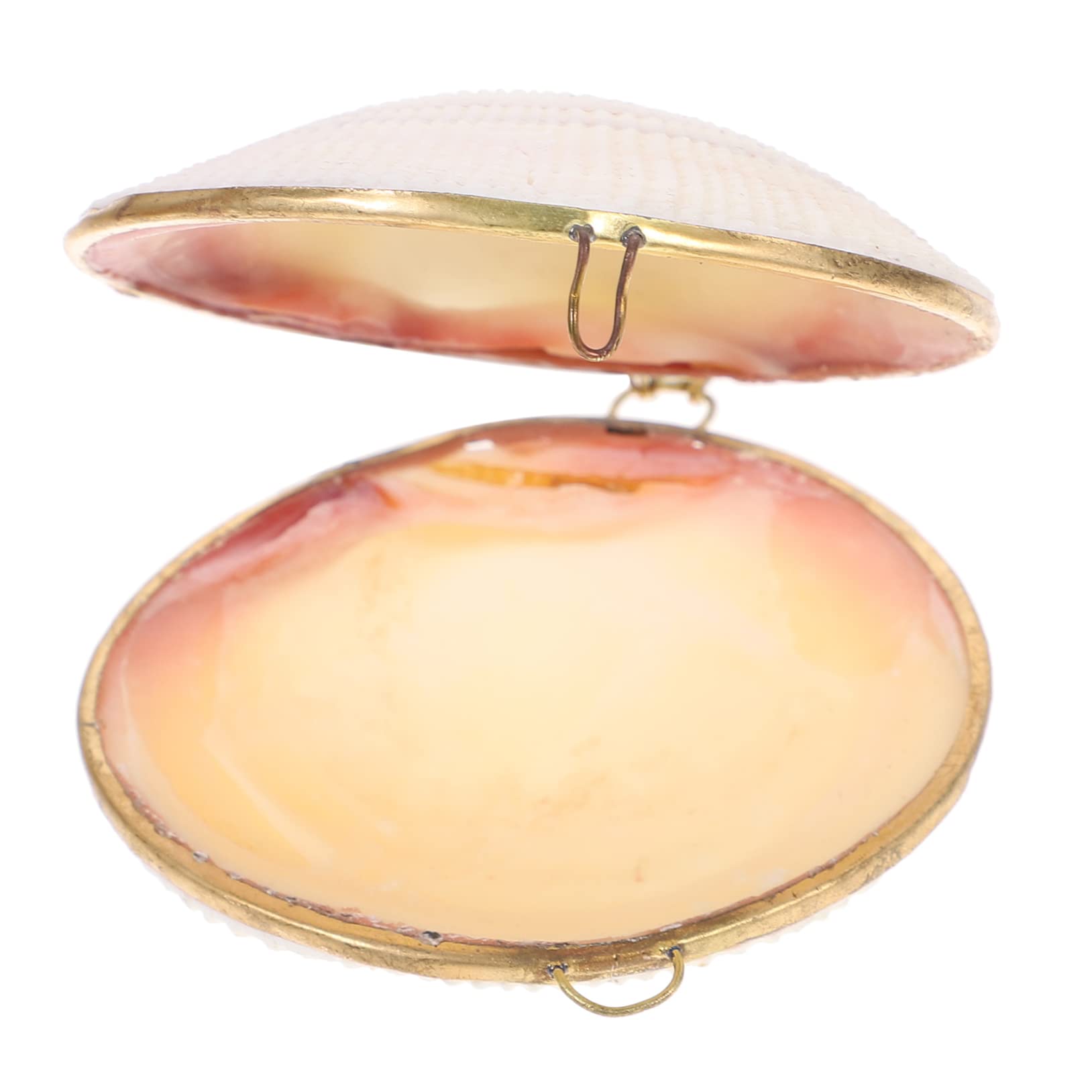 Amazon.com: FONDOTIN Natural Shell Jewelry Organizer Case Creative ...