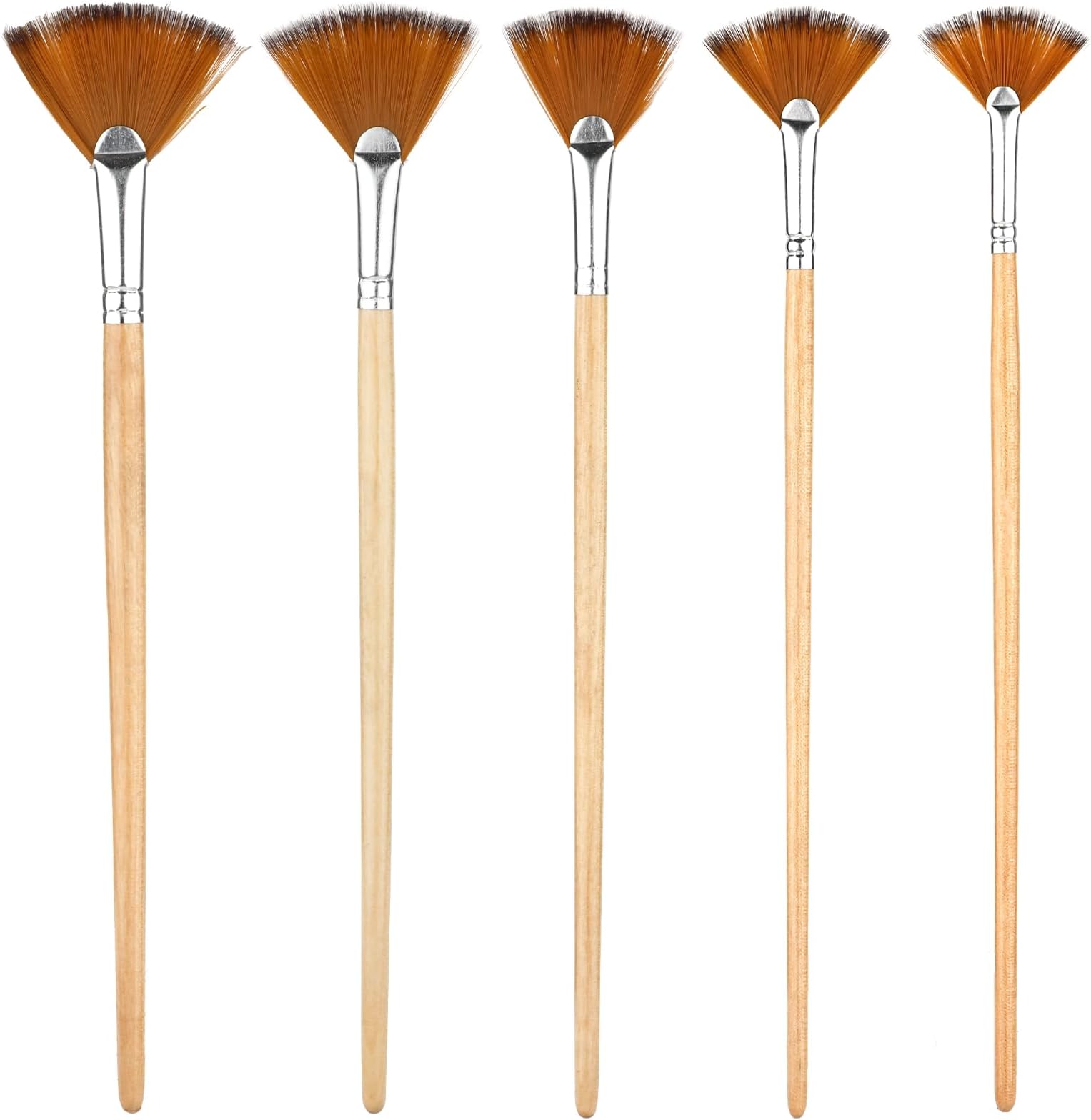 Amazon.com: 5pcs Paint Brushes Set, Fan Brushes Acrylic Paint Brushes ...