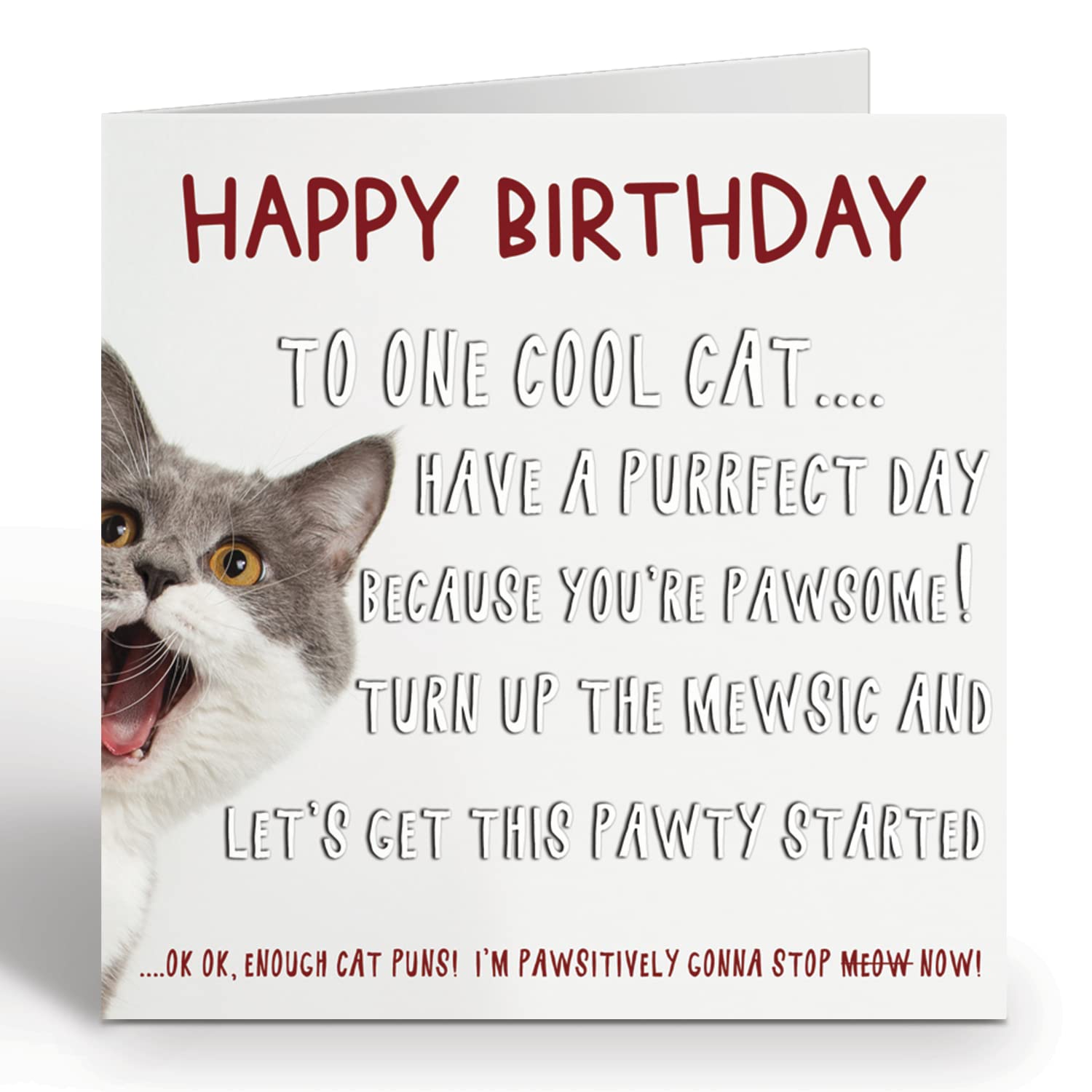Funny Cat Birthday Wishes
