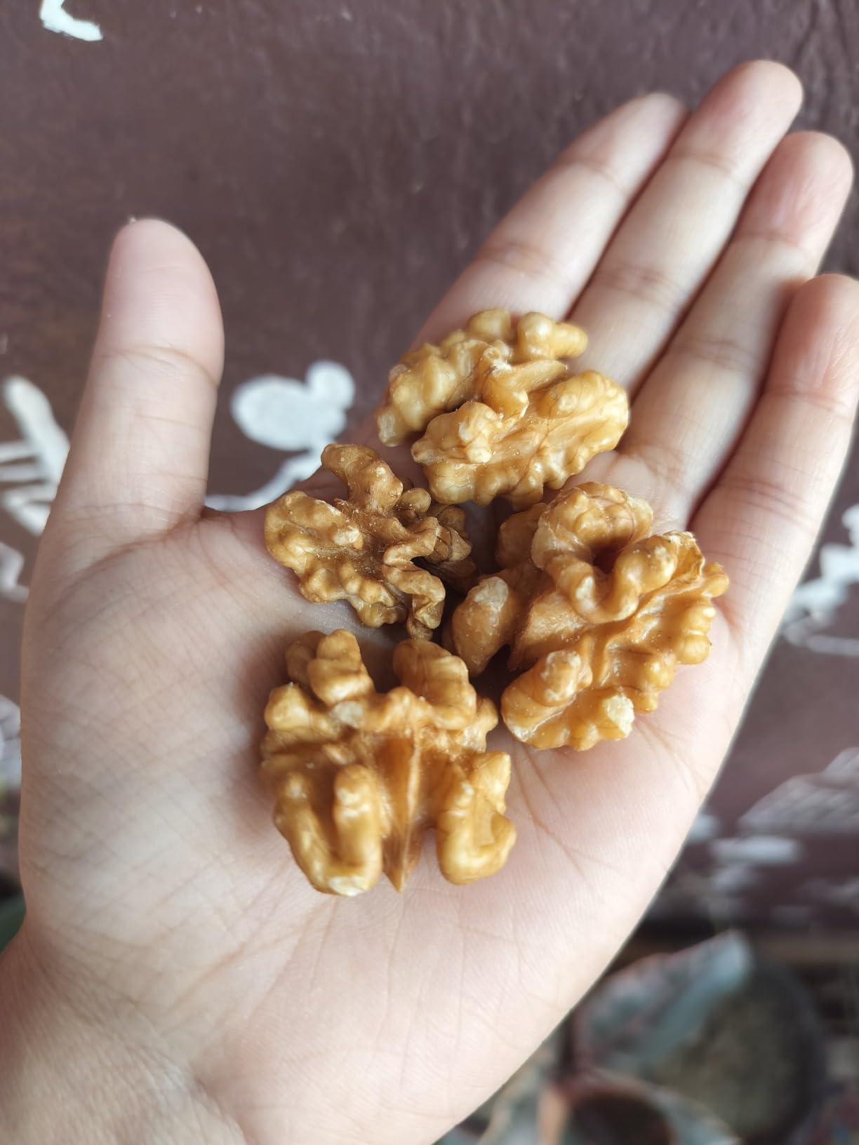 More Choice Superior Dried Fruits - Walnut Giri (Akhrot) Without Shell ...