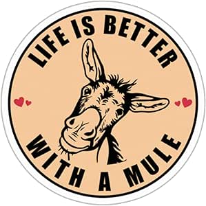 Amazon.com - Donkey Mule Sticker Life is Better with A Mule Sticker ...