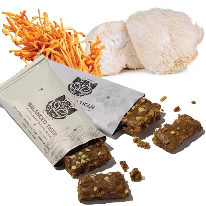 Buy Functional Mushroom Protein Bars | Full Dose (1500mg) Lions Mane ...