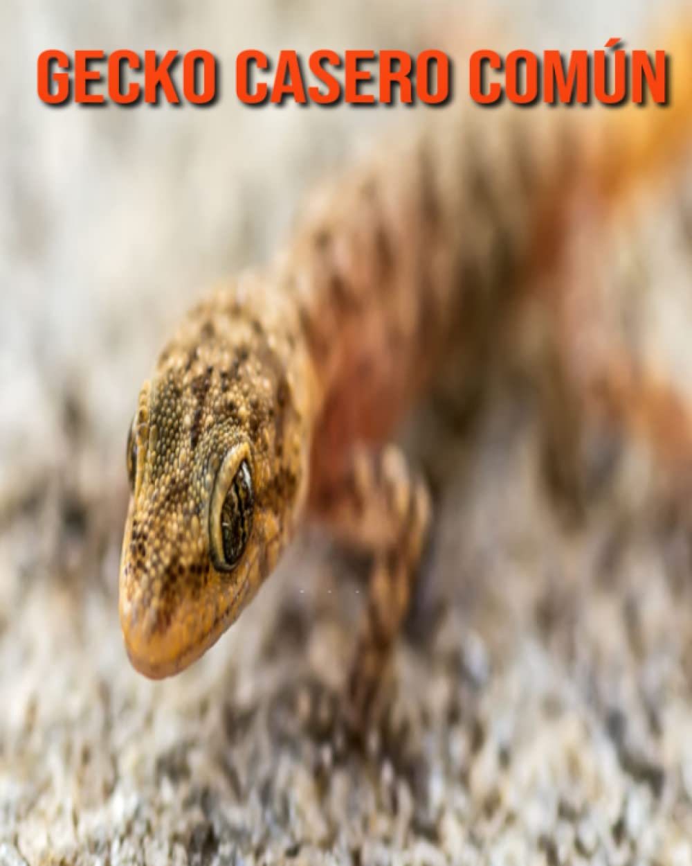 Buy Gecko casero común: Libro para niños con imágenes asombrosas y ...