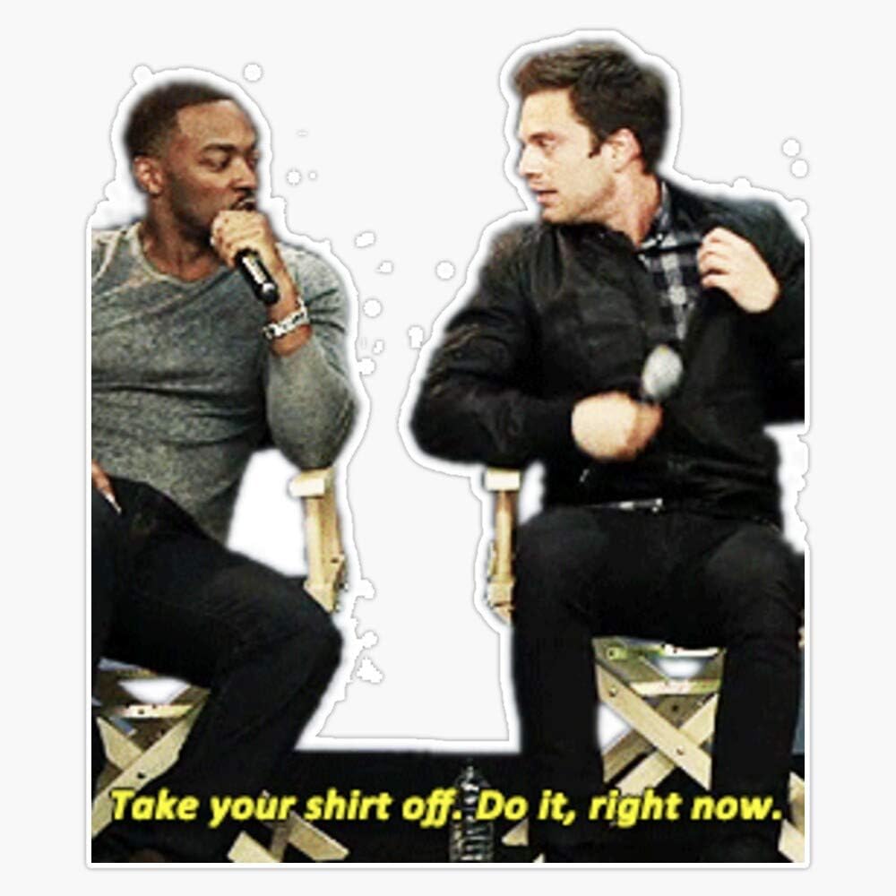 Amazon.com: Sebastian Stan And Anthony Mackie Sticker Bumper Sticker ...