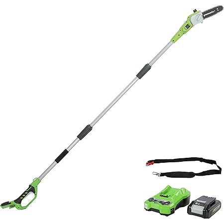 Ryobi ONE+ 18V RPP182020 Cordless Pole Pruner, 20cm Bar (with 1x2.0Ah ...