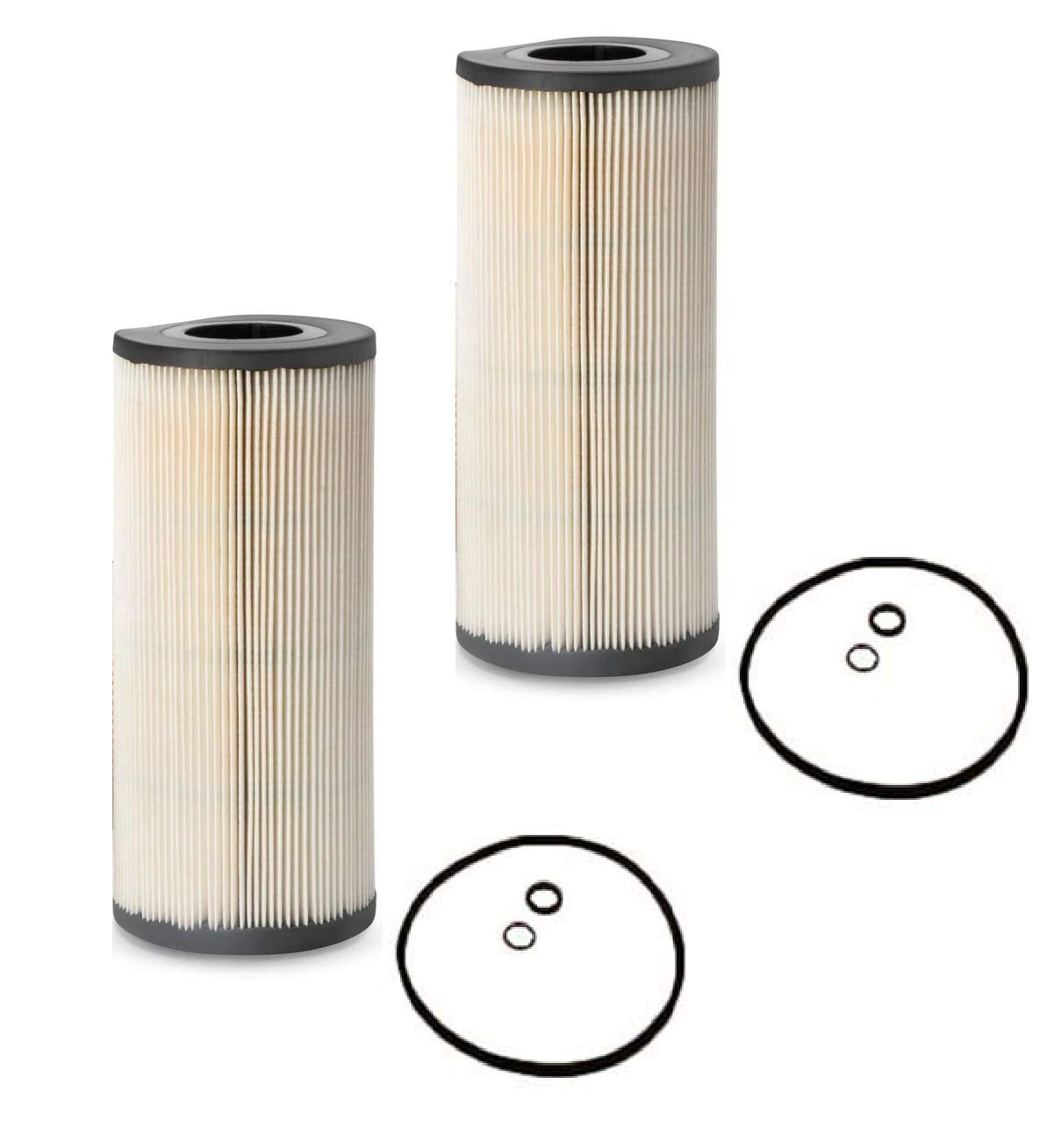 Amazon.com: Fleetguard FS20202 Fuel filter : Automotive