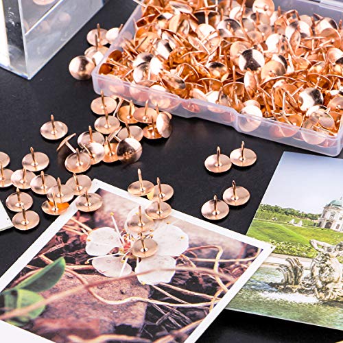 Buy Yalis Thumb Tacks 300-count, Rose Gold Tacks 3/8-inch Steel ...